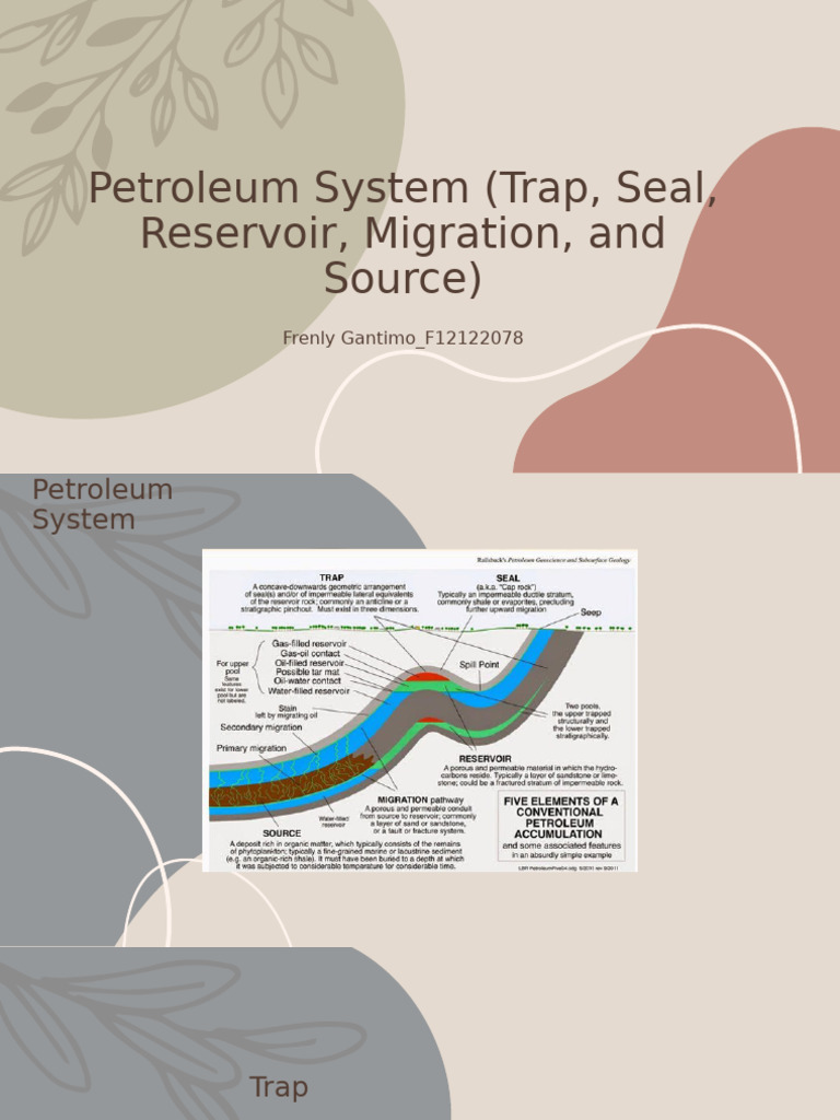 Petroleum System (Trap, Seal, Reservoir | PDF