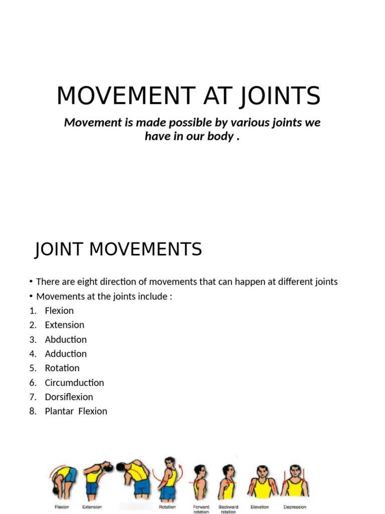 Movements at Joints | PDF