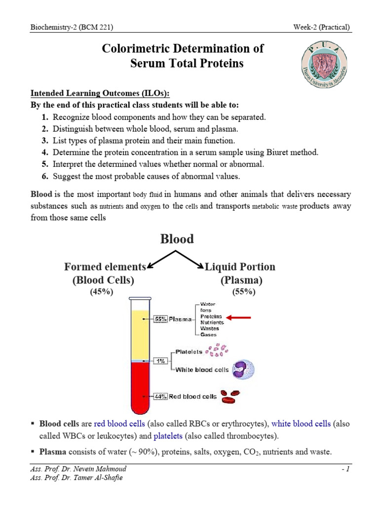 Determination of Serum Protein Concentration | PDF | Blood Plasma | Blood