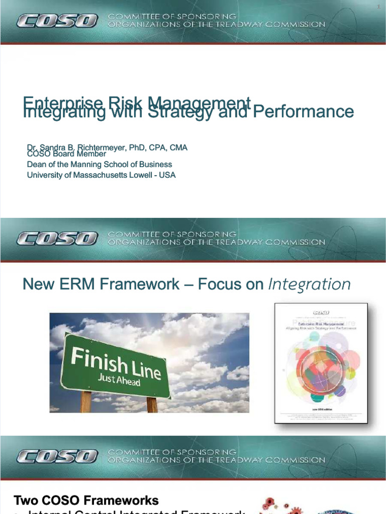 pdf-coso-erm-2017_compress | PDF