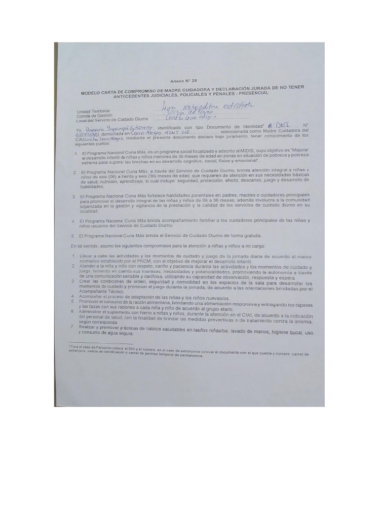 damaris-pdf