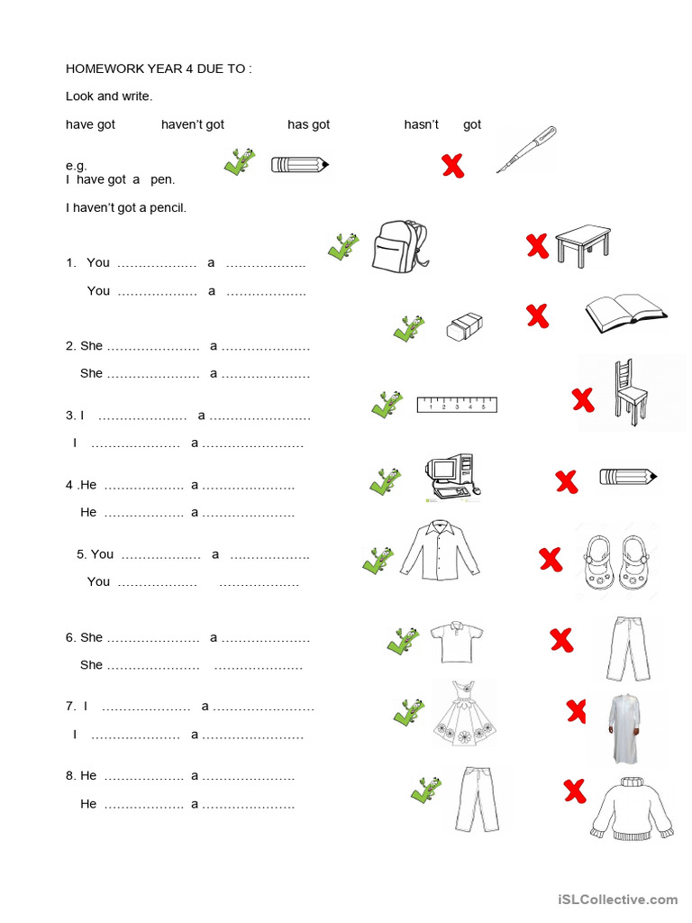 Have - Has Got | PDF