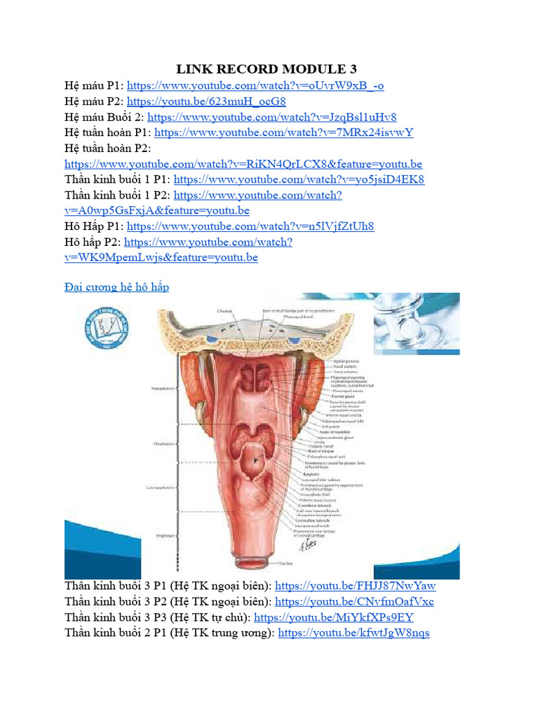 Bai Giang Sinh Li Module 3 Ump | PDF