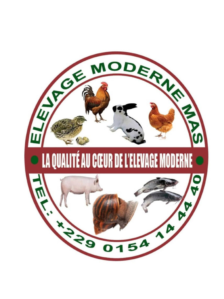 Élevage Moderne Mas | PDF
