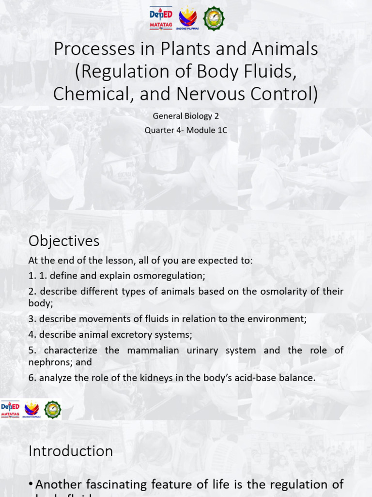 GenBio2 2nd Sem 4Q Module 1C | PDF | Urinary System | Urinary Tract Infection