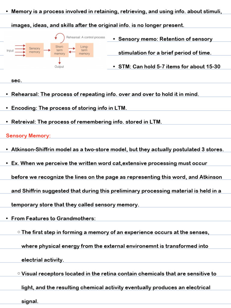 Sensory and Working Memory | PDF | Memory | Attention