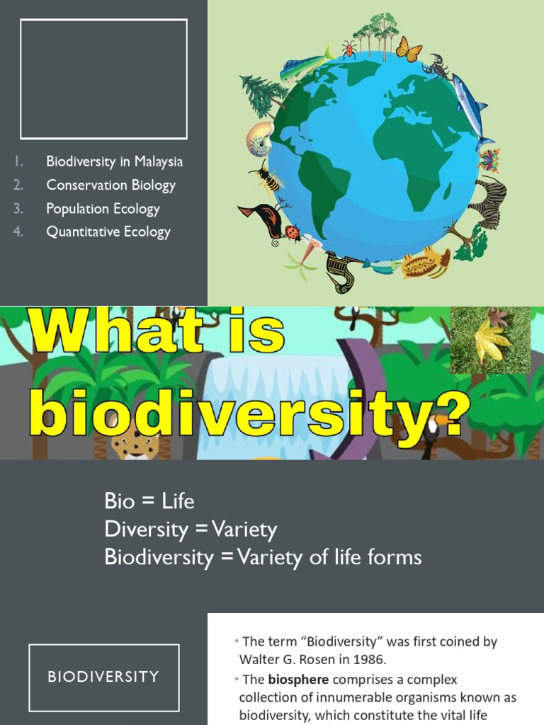 Biodiversity and Ecology Overview | PDF | Biodiversity | Conservation ...
