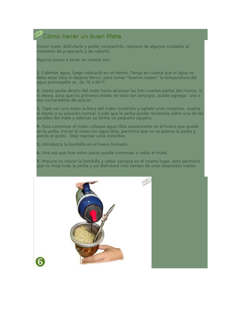 Cómo preparar el mate perfecto | PDF