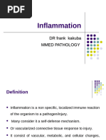 Inflammatory Response Flowchart | PDF | Inflammation | Medicine