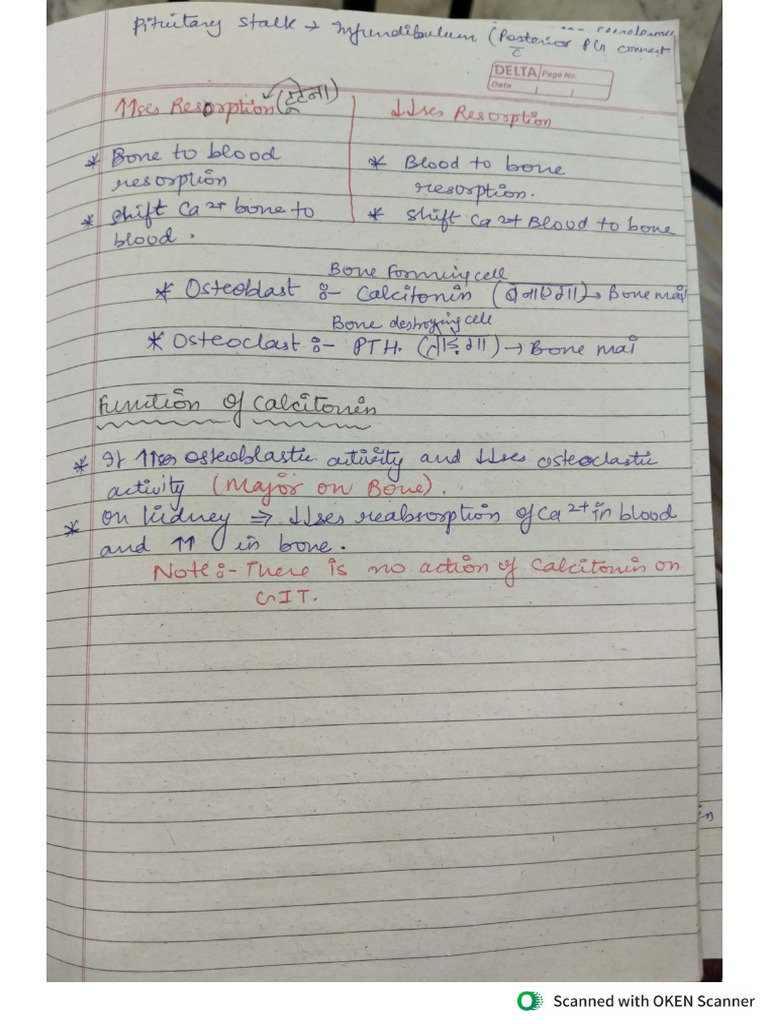 Endo (Function of Calcitonin) | PDF