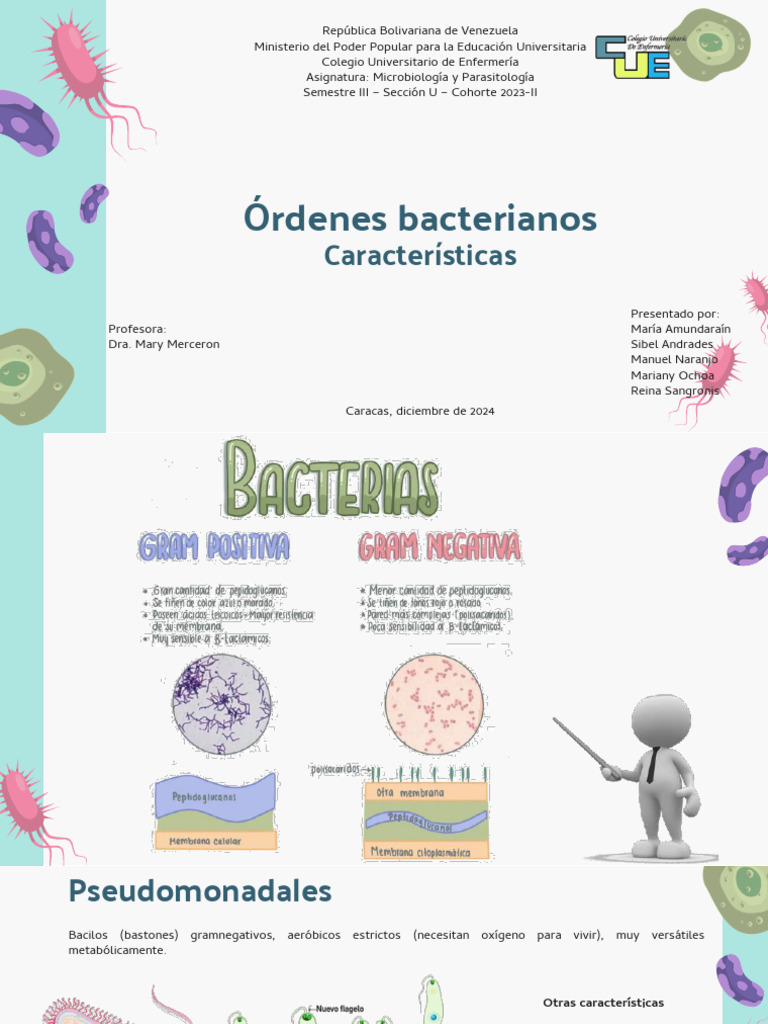 Órdenes Bacterianos y sus Características | PDF | Las bacterias ...