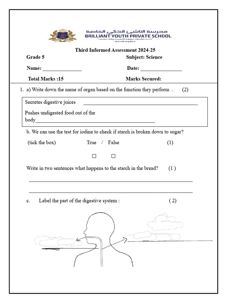 Grade 5 science Third informed assessment | PDF | Foods | Nutrition