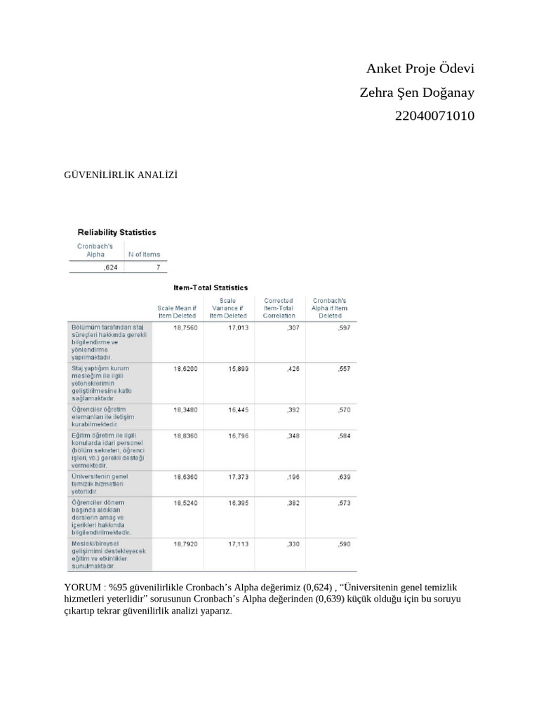 Anket Proje Ödevi.Zehra | PDF