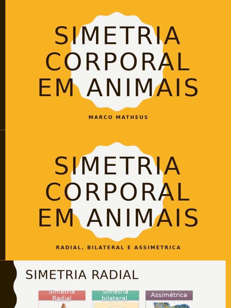 Simetria Corporal em Animais | PDF | Sistema nervoso | Corpo humano