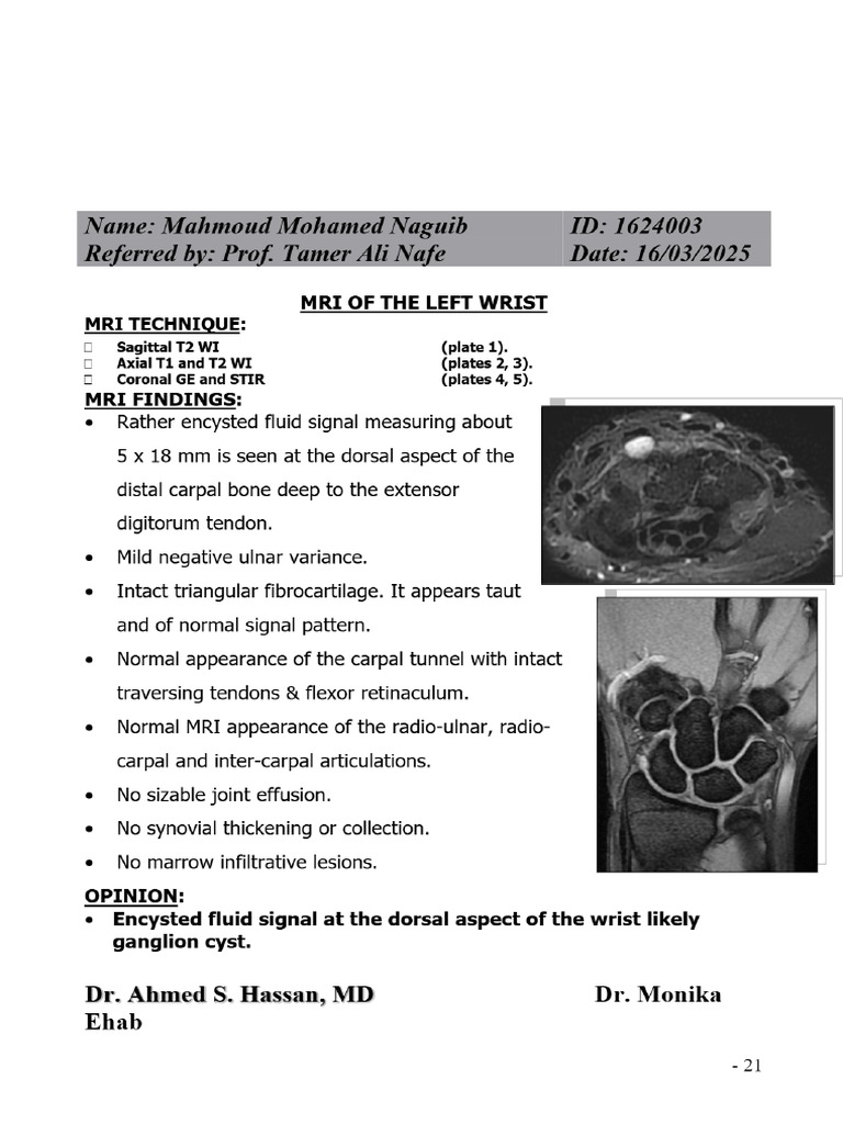 Mahmoud Mohamed Scan Rest | PDF