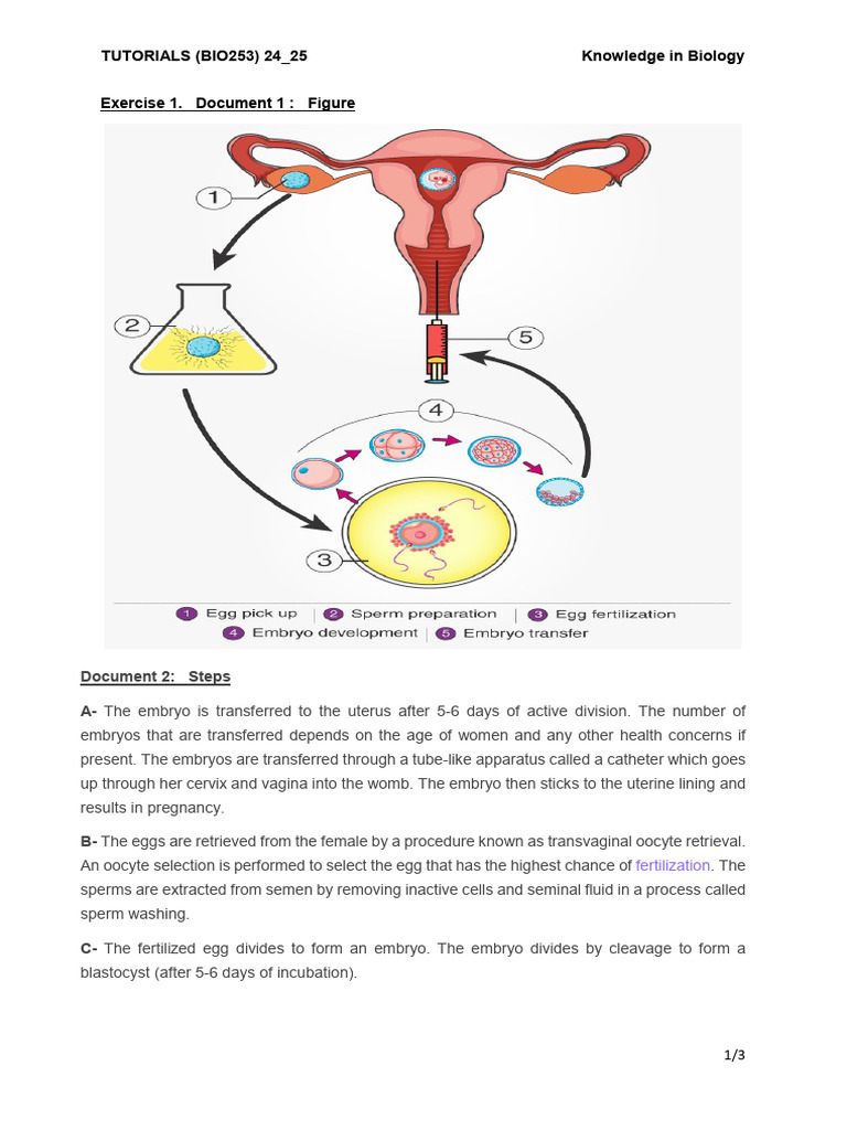 Tutorials BIO 253 Biology 24 - 25 | PDF | Fertilisation | Flowers
