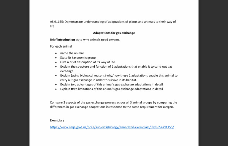 AS 91155 Assessment Breakdown - Docx - Google Drive | PDF