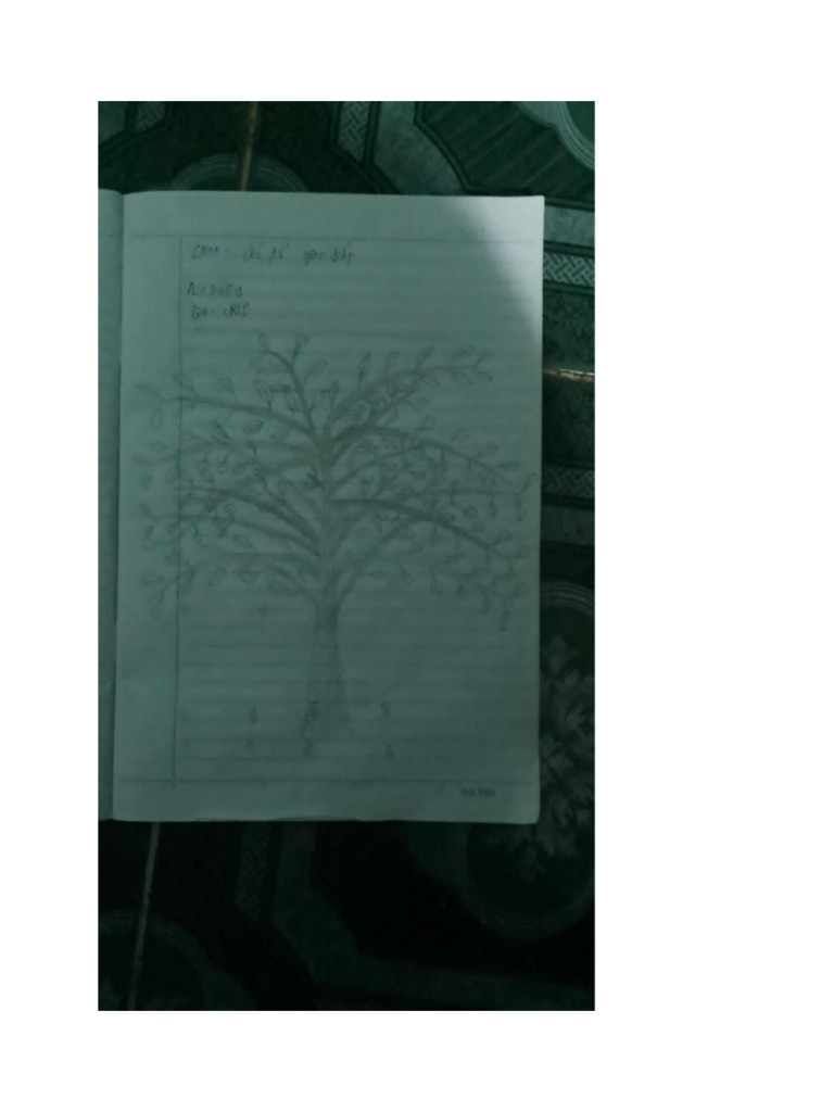 cây cafe và lực | PDF