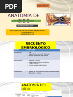 Anatomia de La Audicion | PDF | Hueso | Membrana mucosa