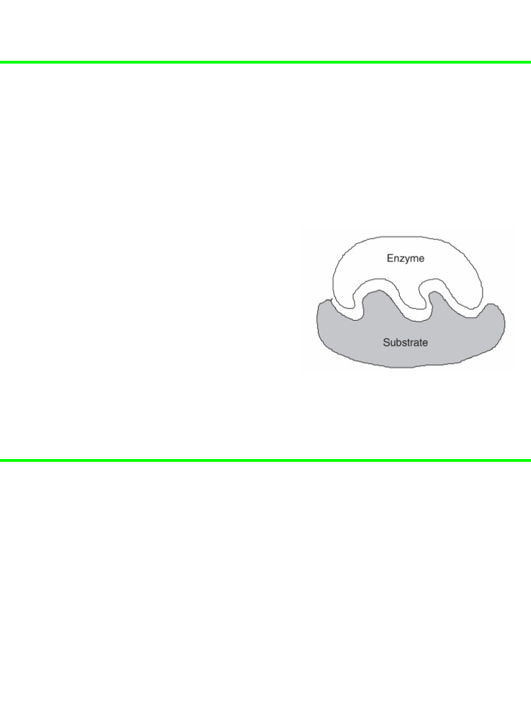 Chapter 9 - PhyChem 2 - Enzyme Catalysis | PDF | Enzyme | Enzyme Inhibitor