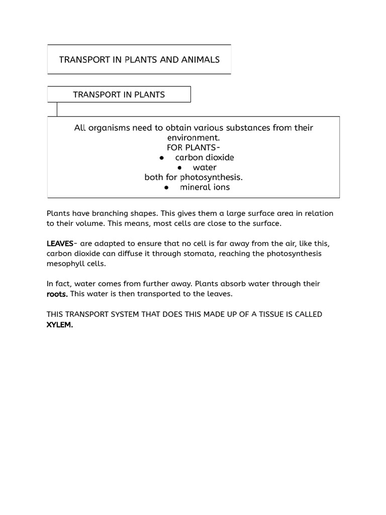 Transport in Plants and Animals | PDF | Heart | Atrium (Heart)
