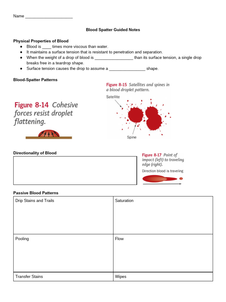 Blood Spatter Guided Notes | PDF