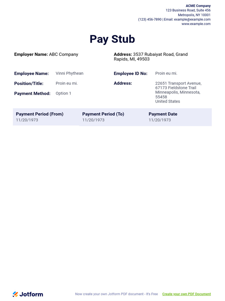 Pay Stub: ABC Company | PDF