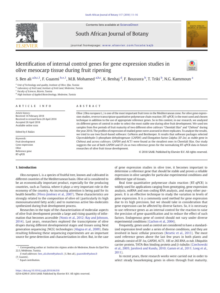 Olive Internal Control Genes for RT-qPCR | PDF | Real Time Polymerase ...