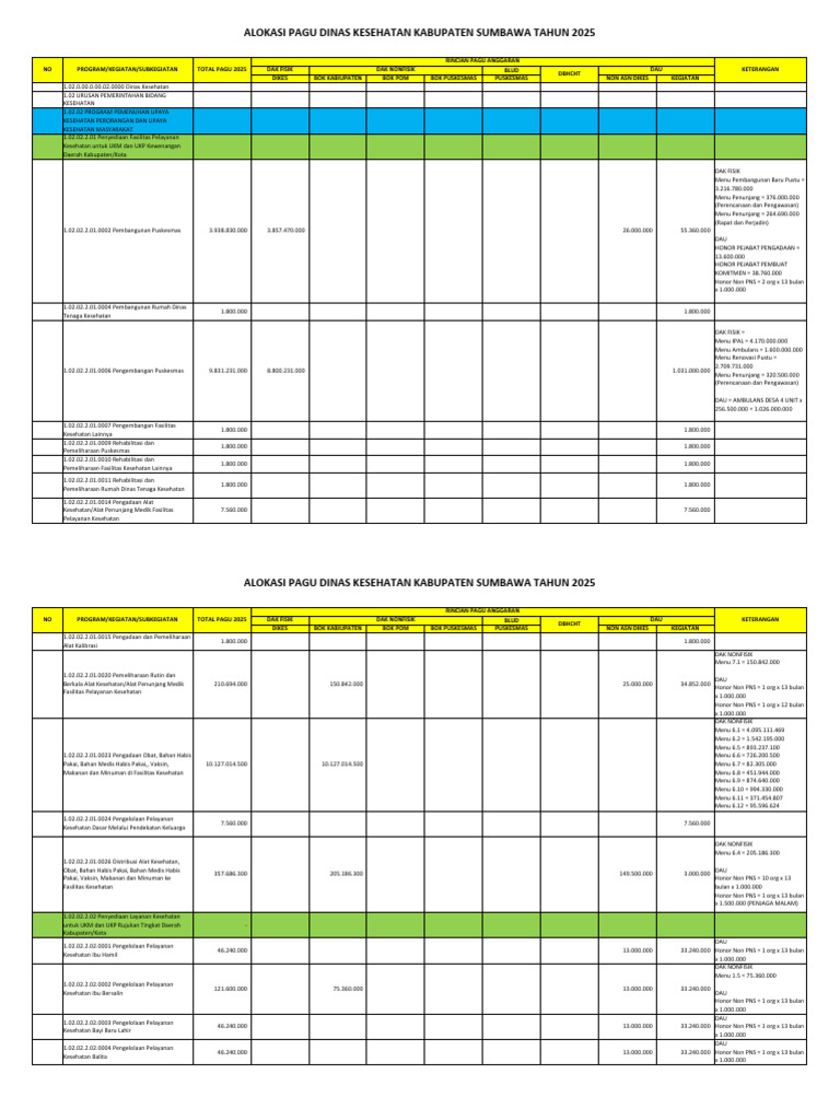 Pagu Alokasi Anggaran 2025 | PDF