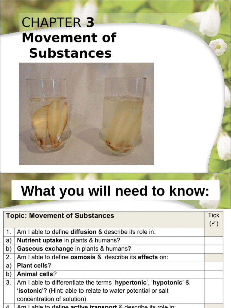 Movement of Substances - Updated | PDF | Osmosis | Diffusion