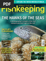 AqAdvisor - Intelligent Freshwater Tropical Fish Aquarium Stocking ...