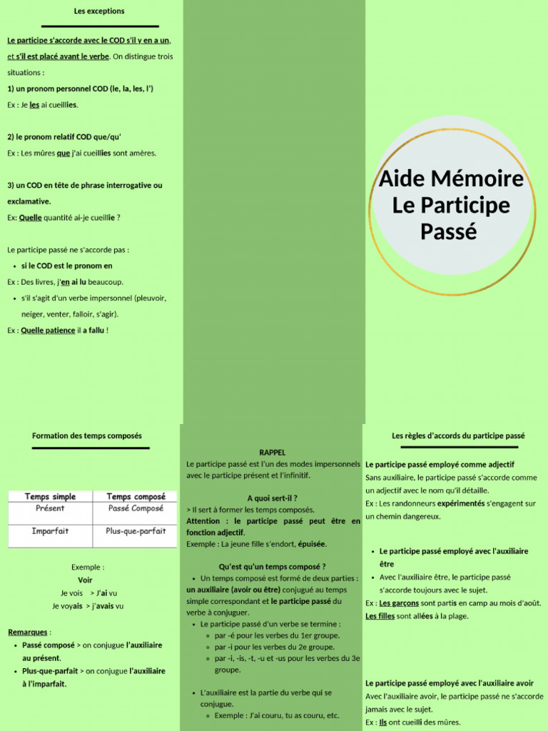 Aide Mémoire - Le Participe Passé | PDF