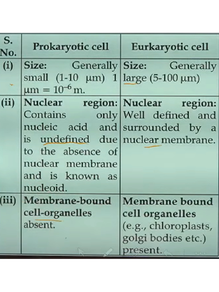 Important Point and Diagrams | PDF