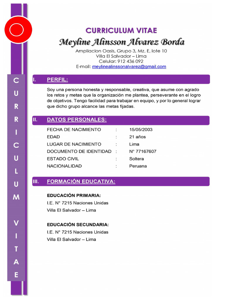 CV2024 - Meyline Alinsson Alvarez Borda - CSM2025 | PDF