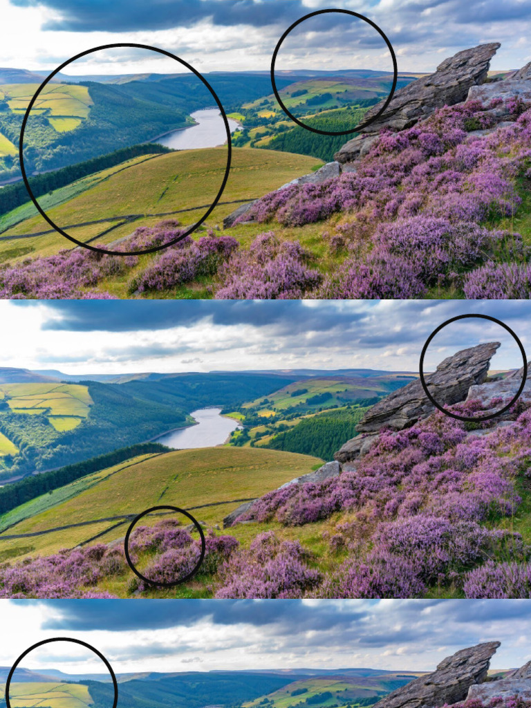 Morph Transition | PDF