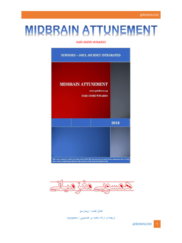 Midbrain@reikiislove | PDF