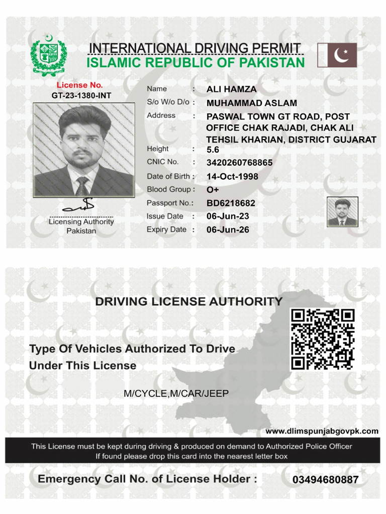 Ali Hamza | PDF