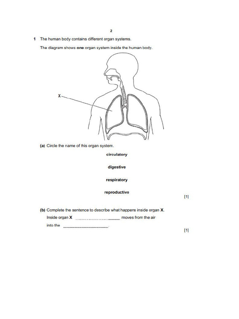 Science 0097 Paper 2 April 2024 | PDF