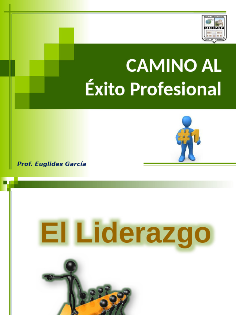 Xito-Profesional 4428882 Powerpoint | PDF
