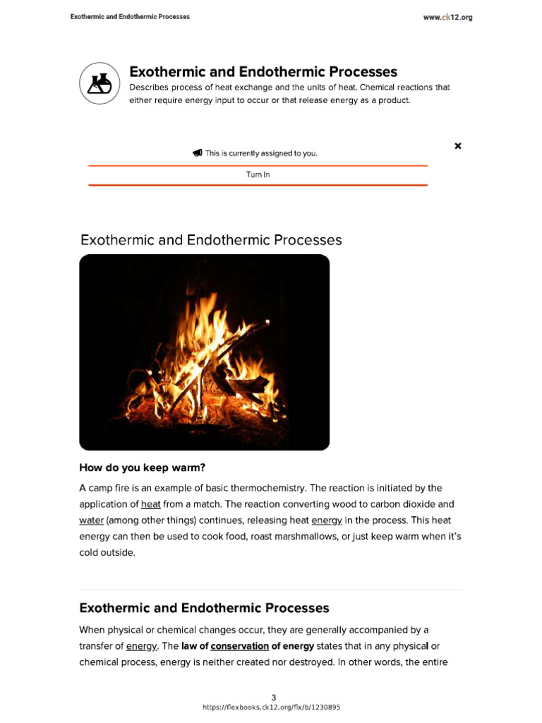 Exothermic & Endothermic Processes | PDF