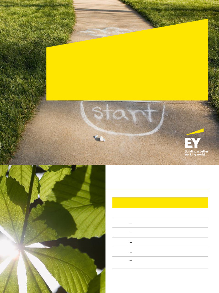 COSO ERM 2017 Framework Overview | PDF | Risk | Enterprise Risk Management