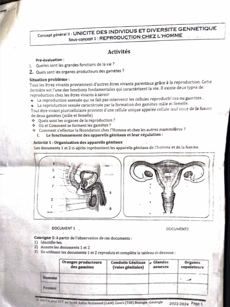 Reproduction Chez L'homme ? | PDF