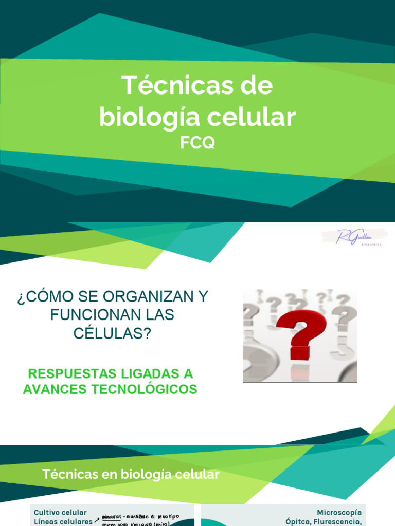 2-Técnicas de Biolog Celular 25 | PDF | Cultivo de células | El la