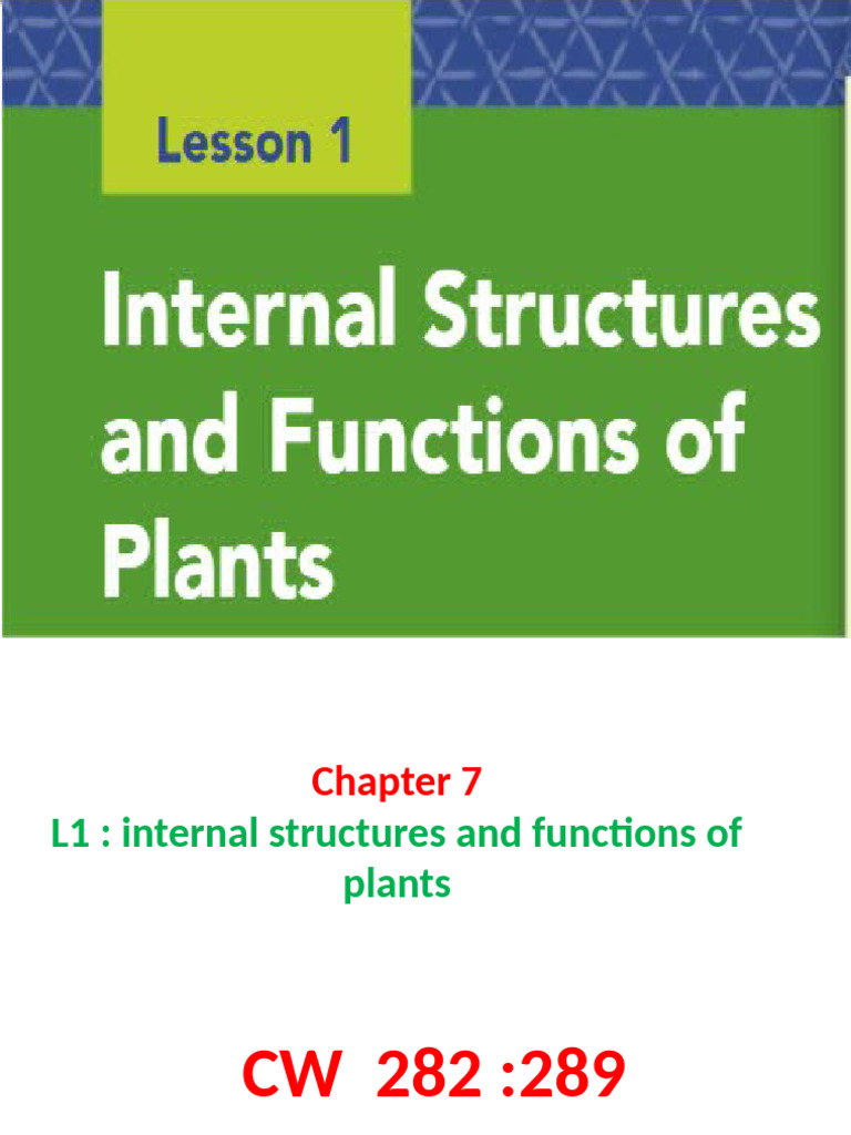 Plant Structures and Functions Explained | PDF