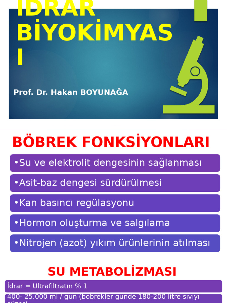 07.04.2025 İDRAR BİYOKİMYASI VE BFT | PDF