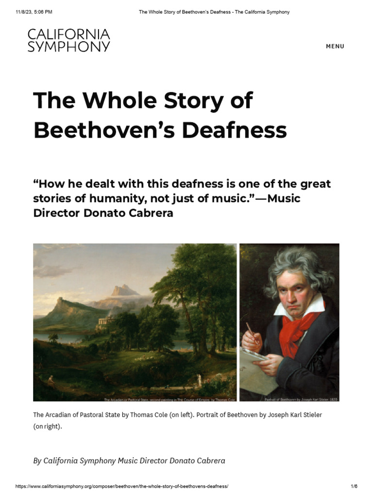 Beethoven Article Graphic Example | PDF | Ludwig Van Beethoven ...