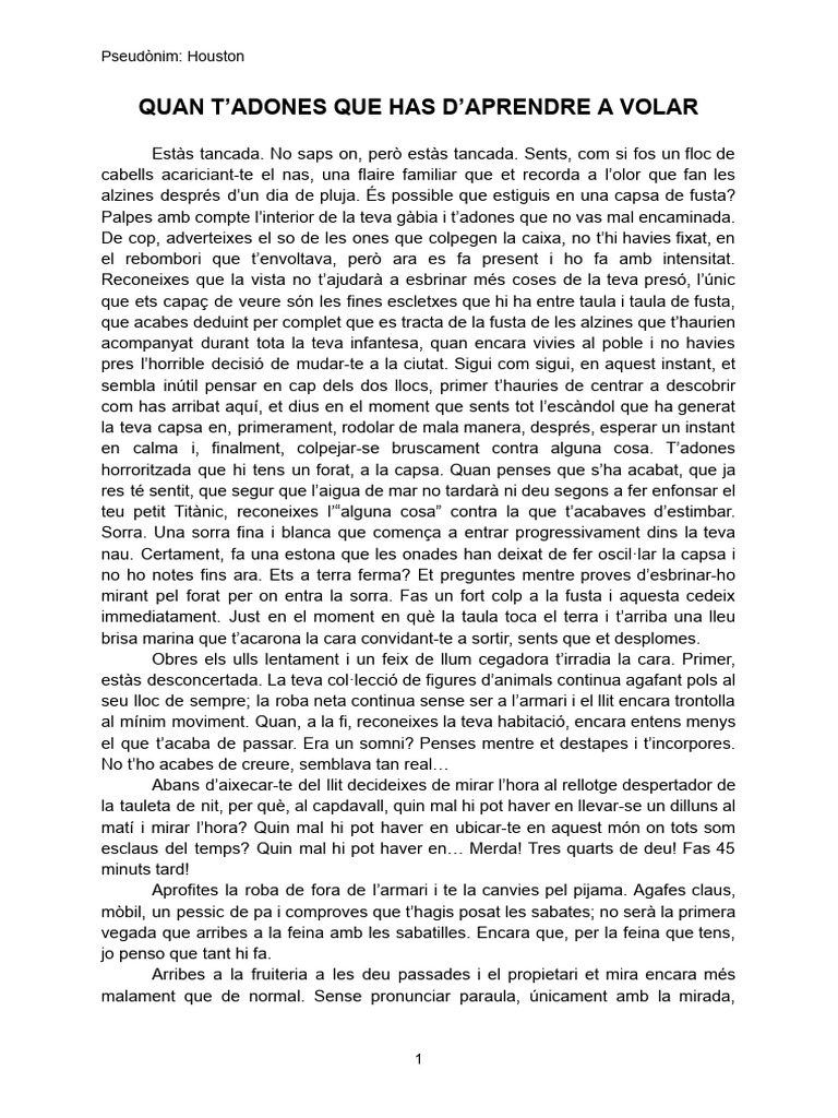 Quan T'adones Que Has D'aprendre A Volar | PDF