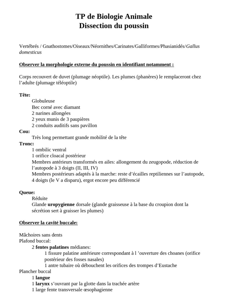 Dissection du Poussin : Guide Pratique | PDF | Foie | Plume