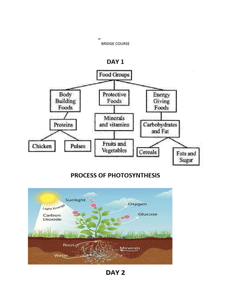 Bridge Course 1 | PDF