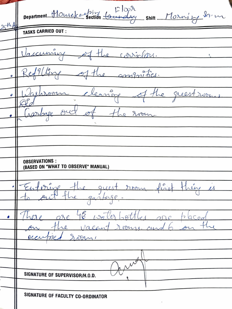 IT Log Book Guidelines | PDF